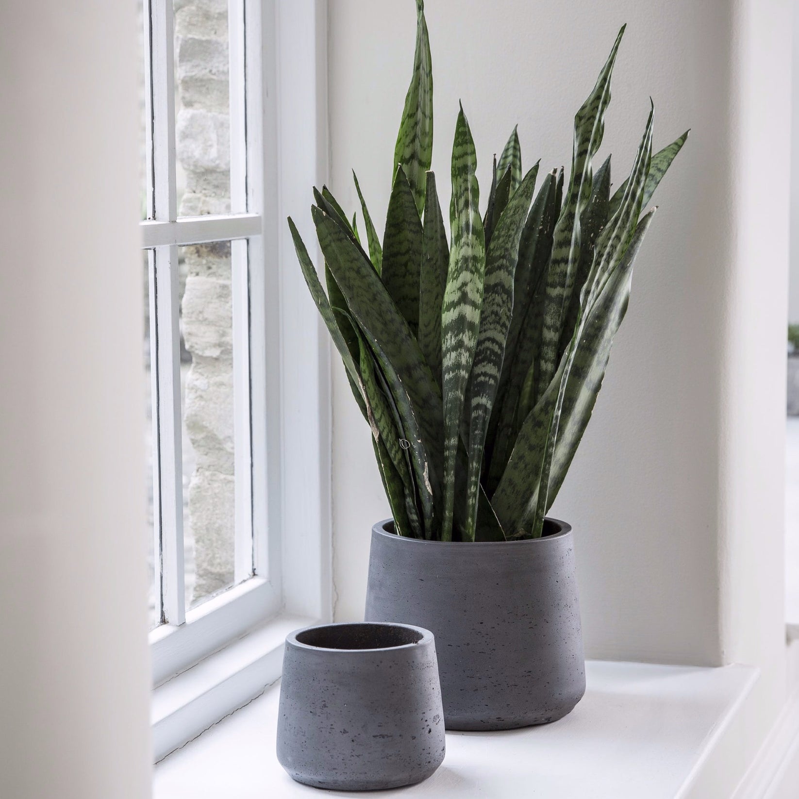 Eden Taper Plant Pot - Charcoal – Harriman & Co.